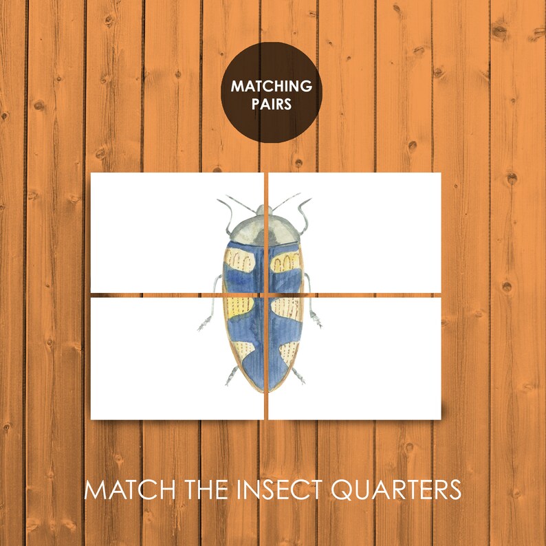 Insect Matching Puzzle Game Nature Matching Activity for Kids Nature ...