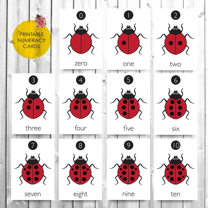Ladybird Number Recognition Flashcards and Classroom Display - Etsy