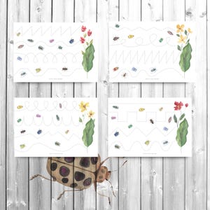 Mini Beast Line Tracing Worksheets | Learn to Write | Nature Activity ...