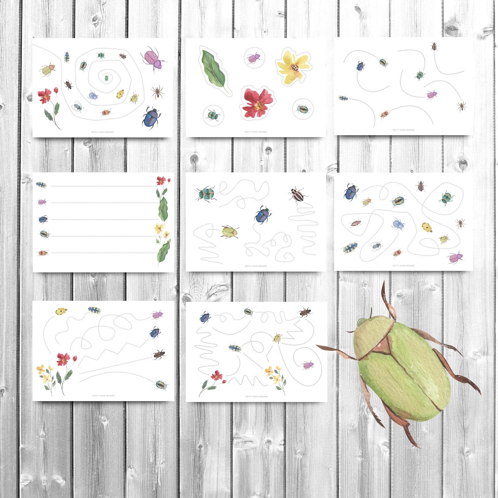 Mini Beast Line Tracing Worksheets Nature Activity for Preschool Fine ...
