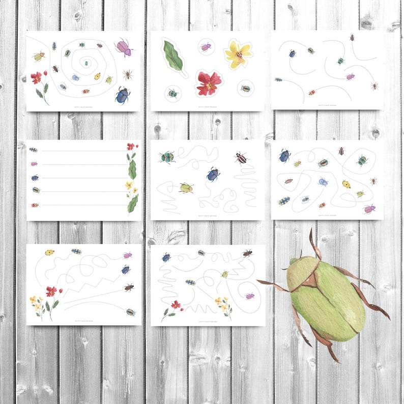Mini Beast Line Tracing Worksheets | Learn to Write | Nature Activity ...
