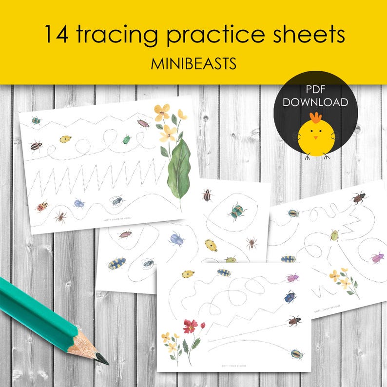 Mini Beast Line Tracing Worksheets | Learn to Write | Nature Activity ...