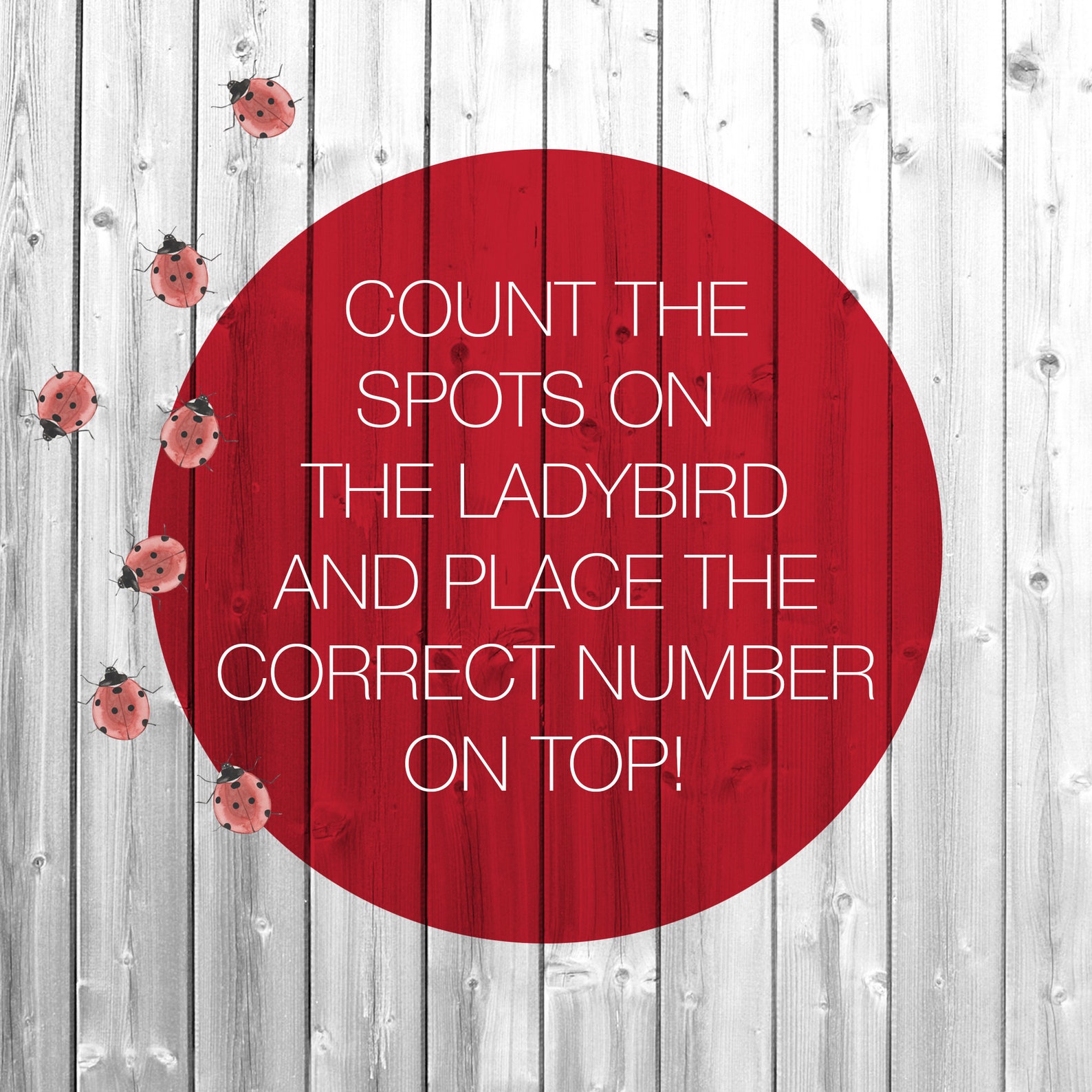 Number Flash Cards Number Counting Early Years Maths Counting Flash ...