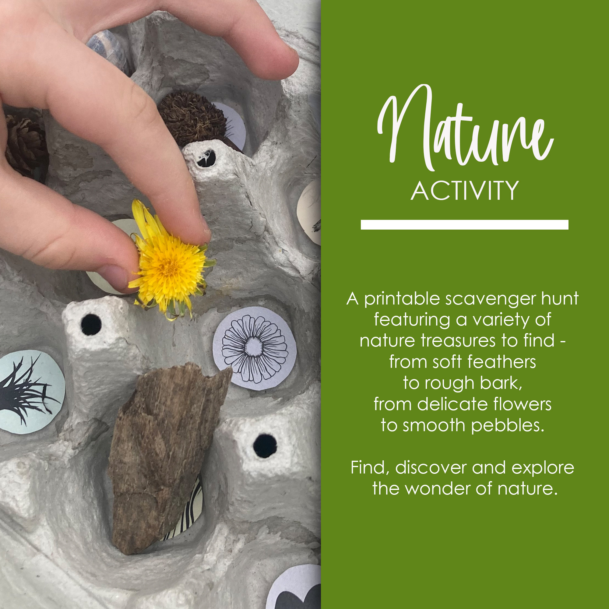 Egg Carton Scavenger Hunt Bundle for Outdoor Nature Activities for Kids ...