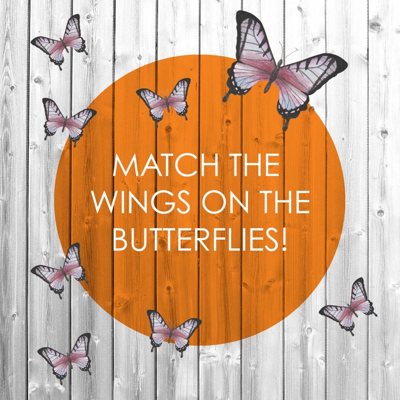 Butterfly Symmetry Matching Game | Nature Matching Activity for Kids ...