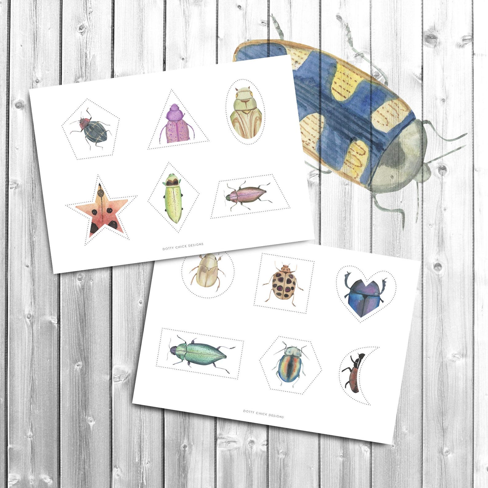 Mini Beast Line Tracing Worksheets Nature Activity for Preschool Fine ...