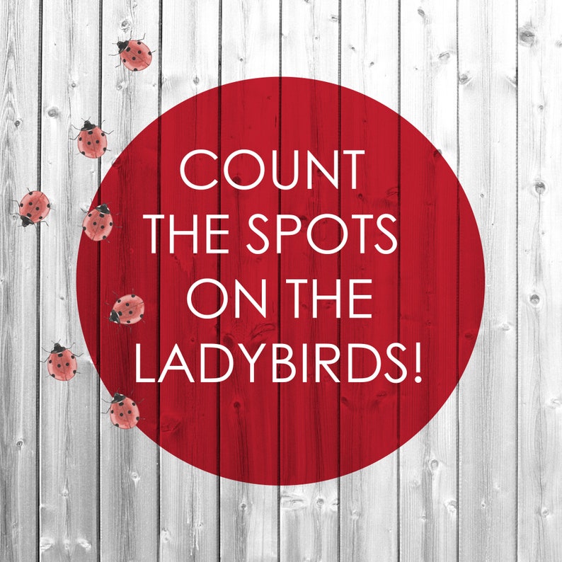 Ladybird Number Flash Cards: Counting Game (PDF) - Etsy