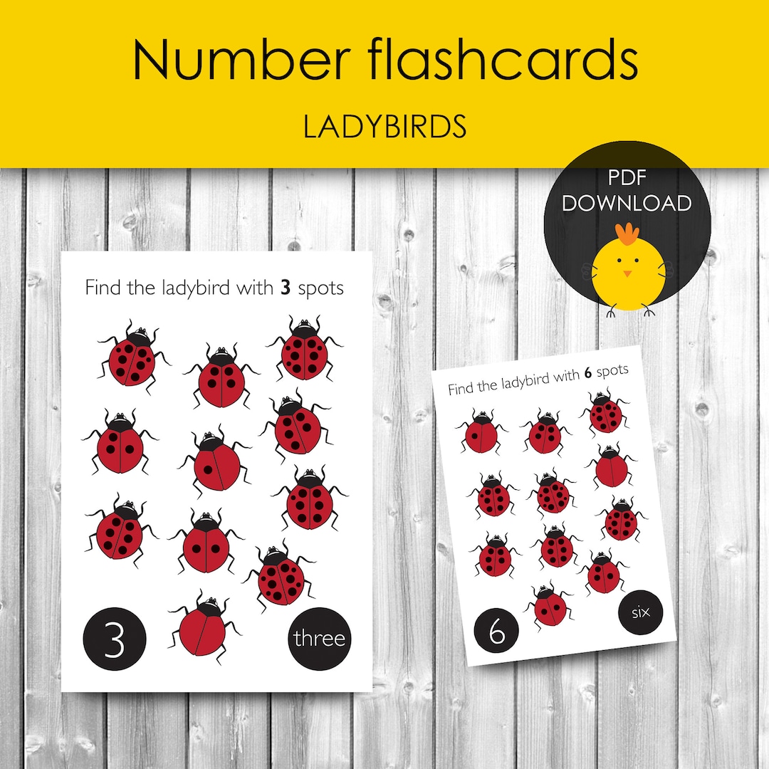 Ladybird Number Flash Cards, Maths Classroom Display Pack, EYFS ...