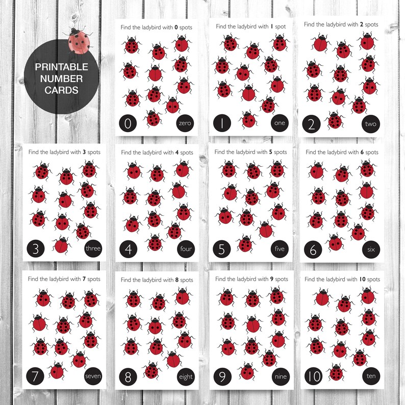 Ladybird Flash Cards Numeracy EYFS Maths Counting Flash Cards Number ...