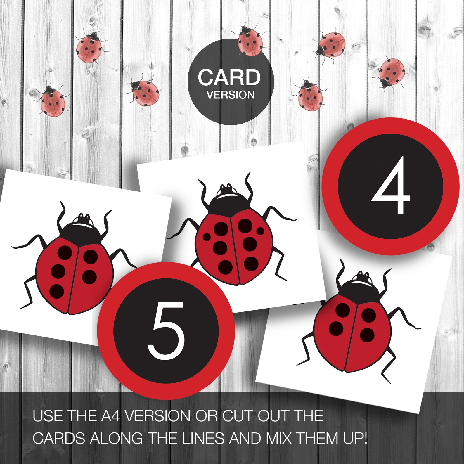 Number Flash Cards Number Counting Early Years Maths Counting Flash ...