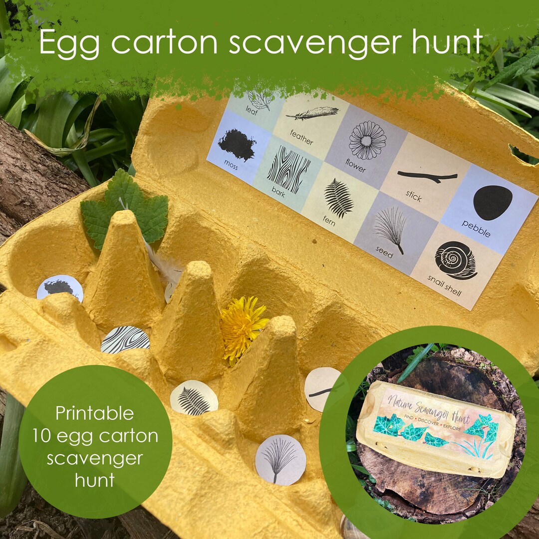 Egg Carton Scavenger Hunt Outdoor Activities for Kids Outdoor Toy ...