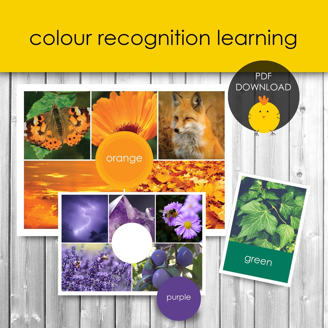 Nature Color Recognition Flash Cards: Preschool Learning (PDF) - Etsy
