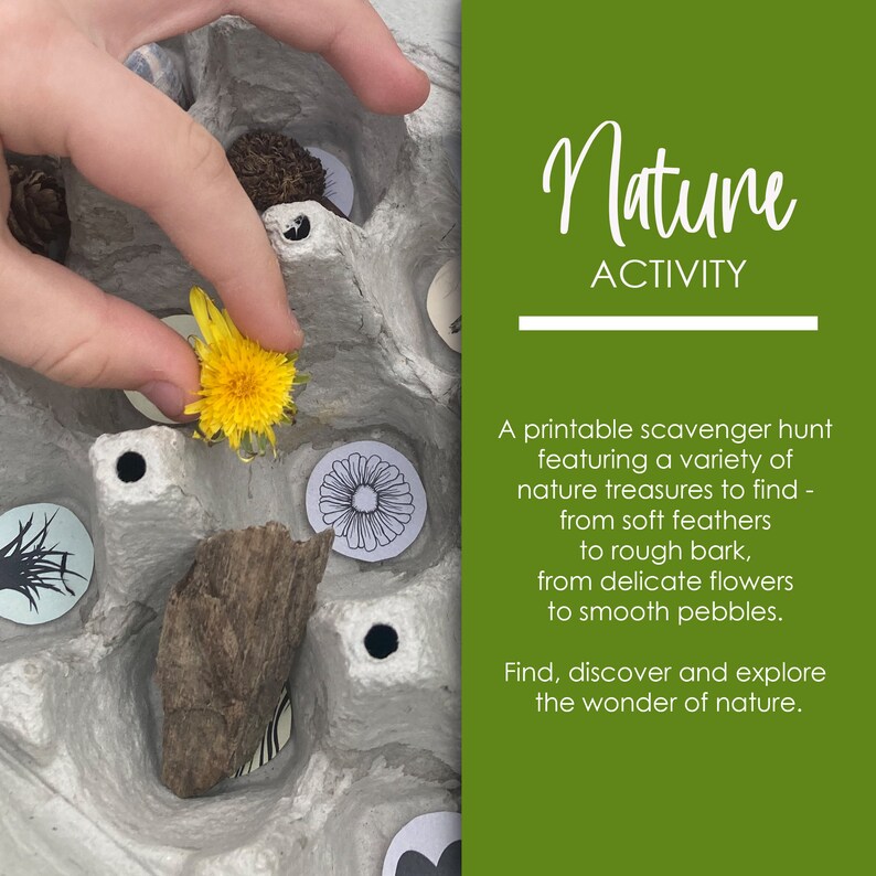 Egg Carton Scavenger Hunt | Outdoor Activities for Kids | Outdoor Toy ...