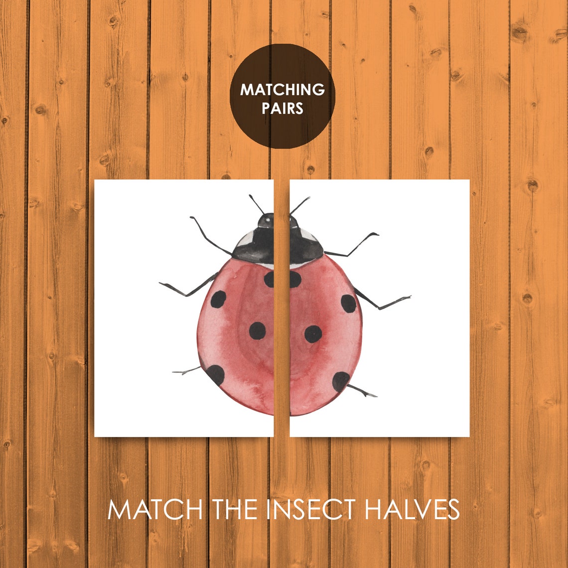 Insect Matching Puzzle Game Nature Matching Activity for Kids Nature ...