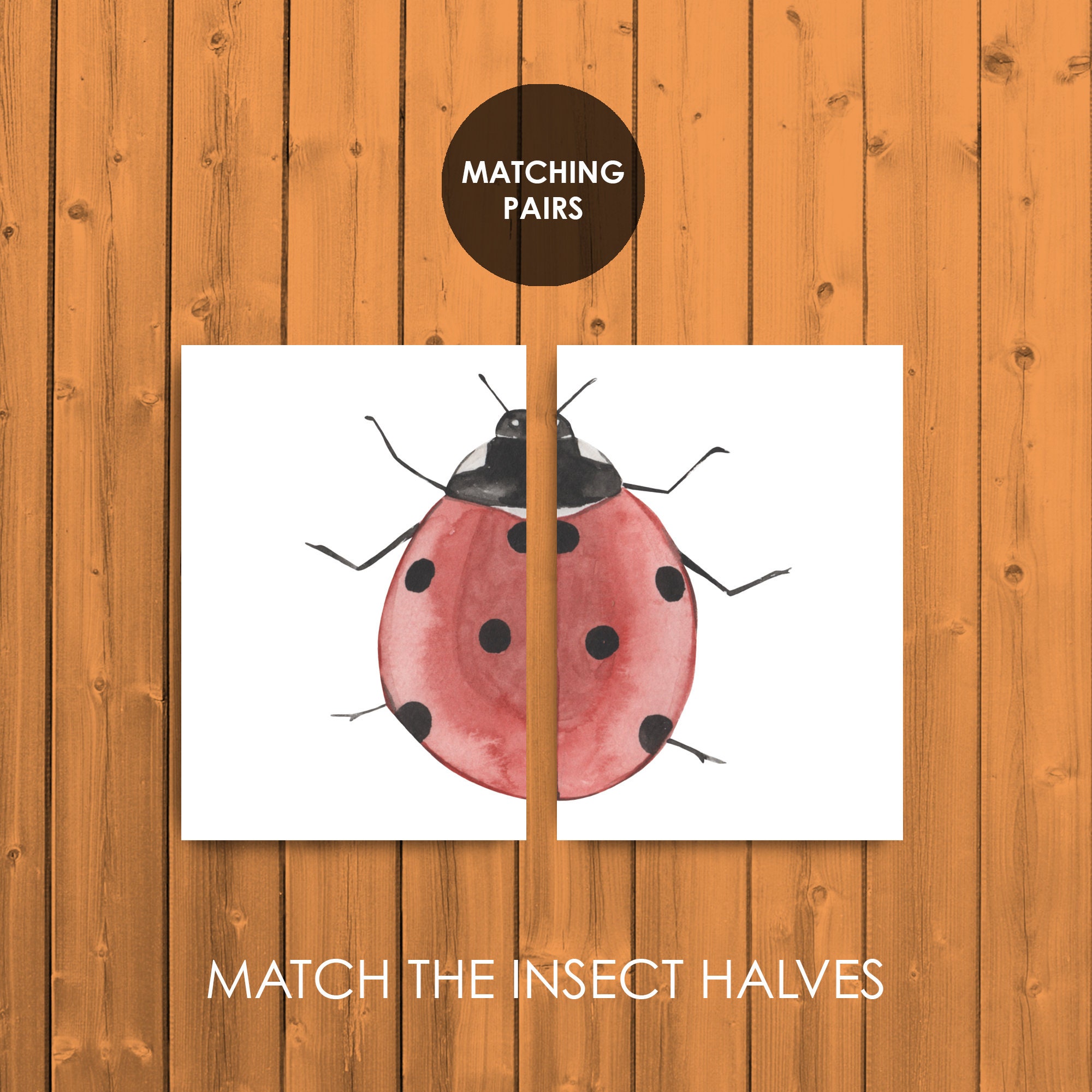 Insect Matching Puzzle Game Nature Matching Activity for Kids Nature ...