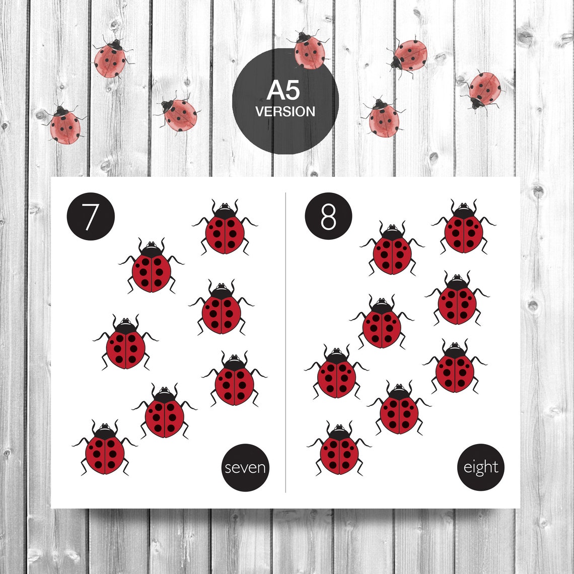 Ladybird Number Flash Cards | Kindergarten Numeracy | Early Years Maths ...