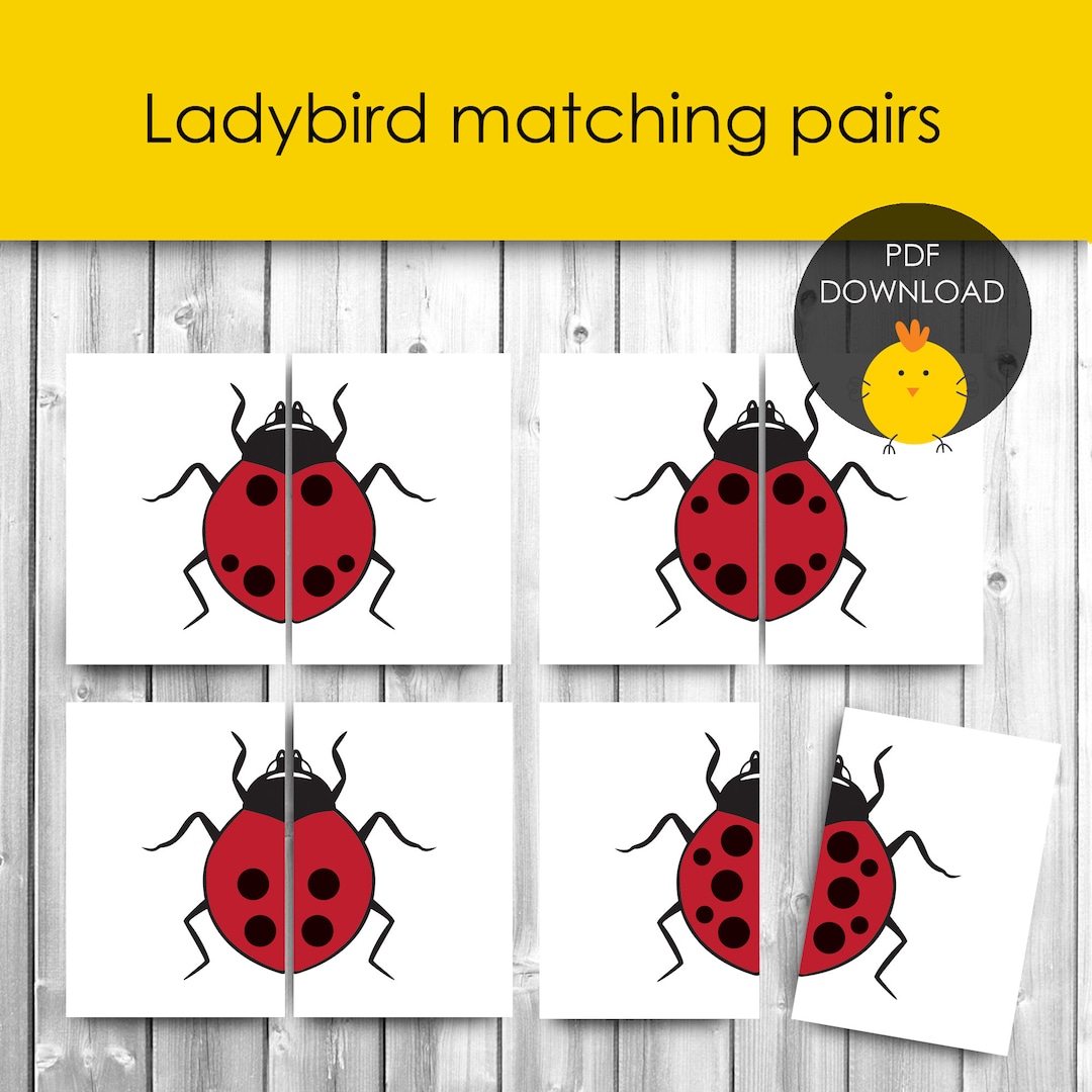 Ladybird Symmetry Matching Pairs for Early Years Math and Number ...