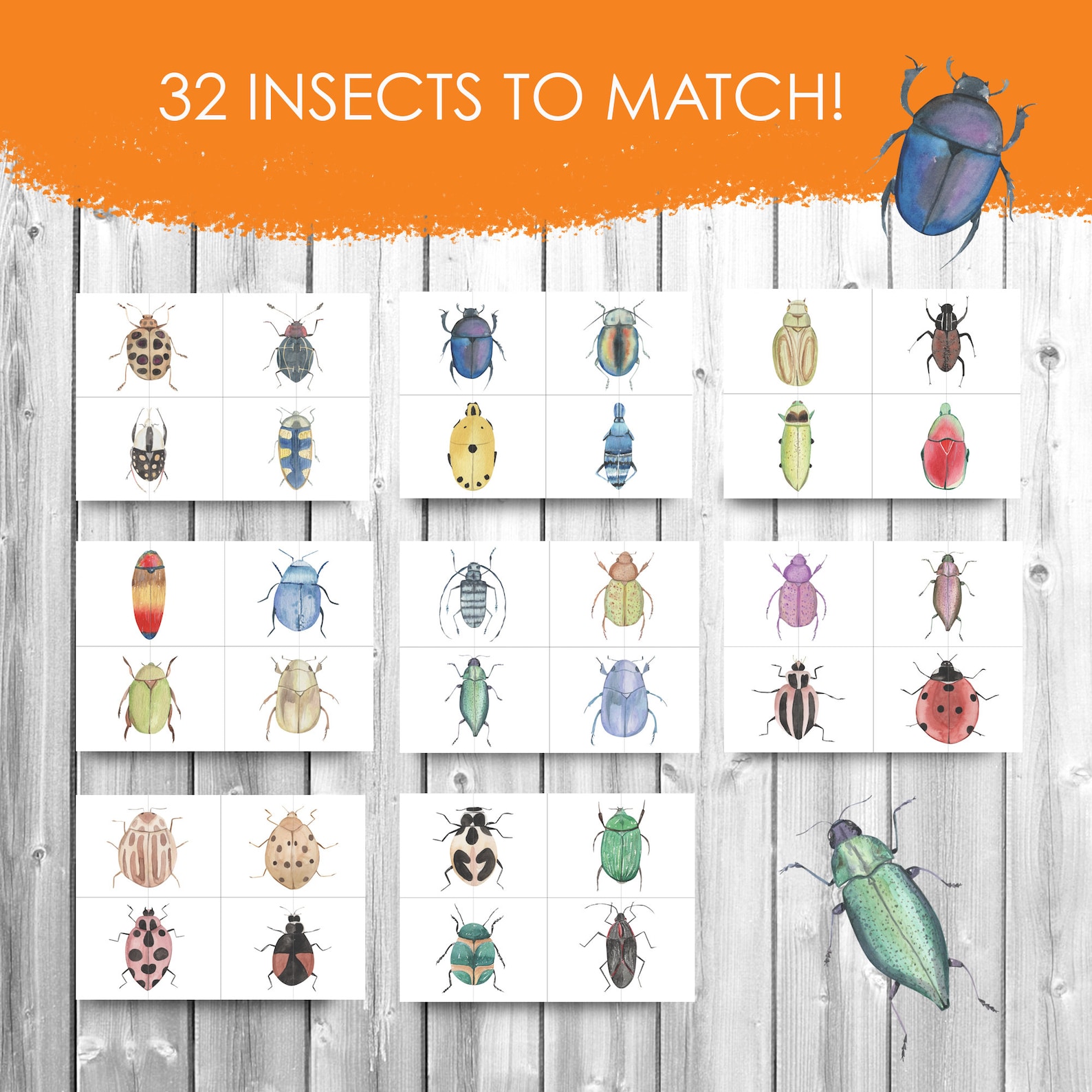 Insect Matching Puzzle Game Nature Matching Activity for Kids Nature ...