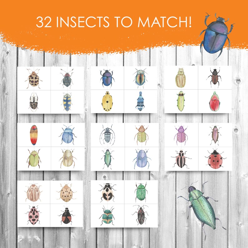 Insect Matching Puzzle Game Nature Matching Activity for Kids Nature ...