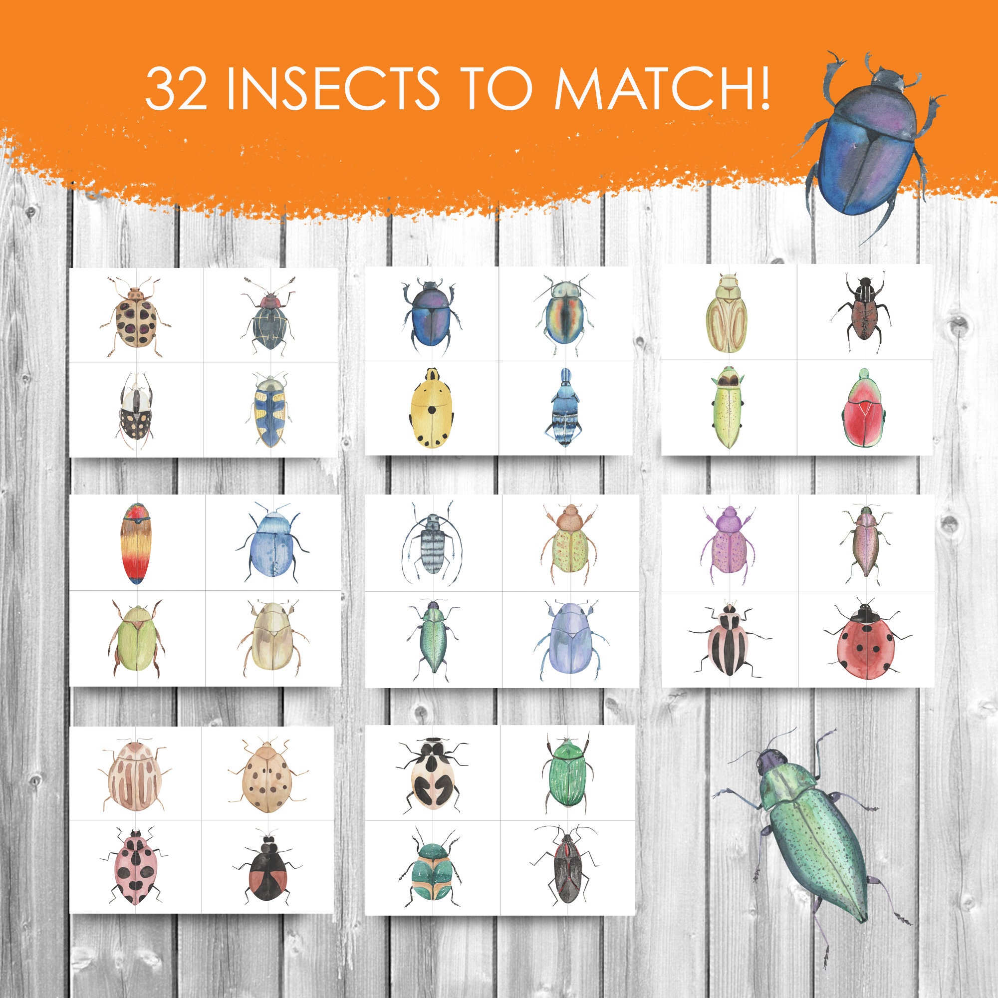 Insect Matching Puzzle Game Nature Matching Activity for Kids Nature ...