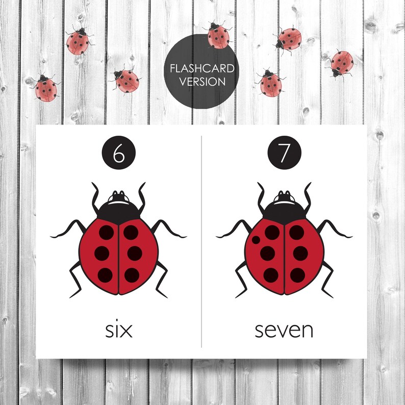 Ladybird Number Recognition Flashcards for Preschool Early Years Maths ...