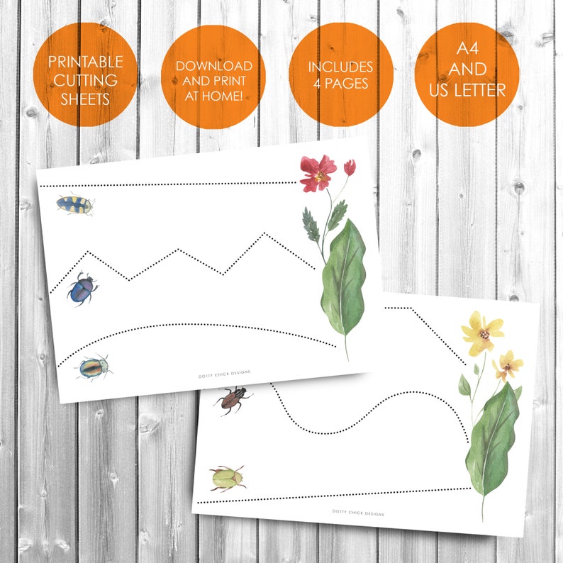 Minibeast Cutting Practice Worksheets Scissor Practice Nature Activity ...