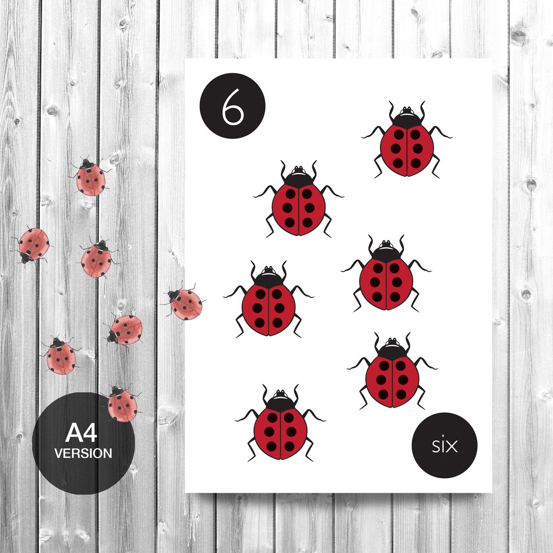 Ladybird Number Flash Cards | Kindergarten Numeracy | Early Years Maths ...