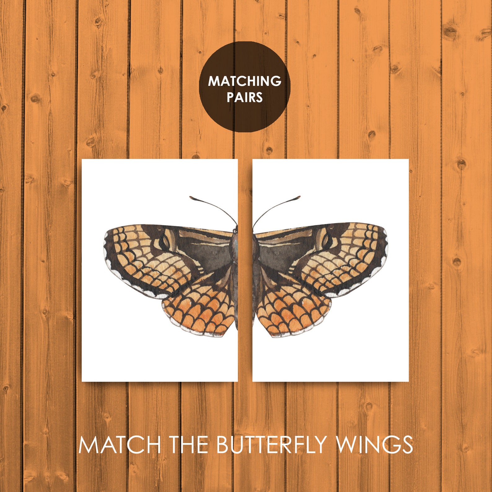 Butterfly Symmetry Matching Game | Nature Matching Activity for Kids ...