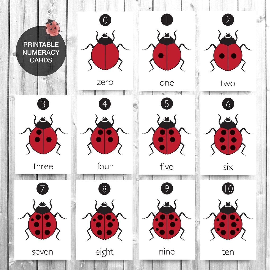 Number Flashcards Numeracy EYFS Maths Counting Flash Cards Number Cards ...