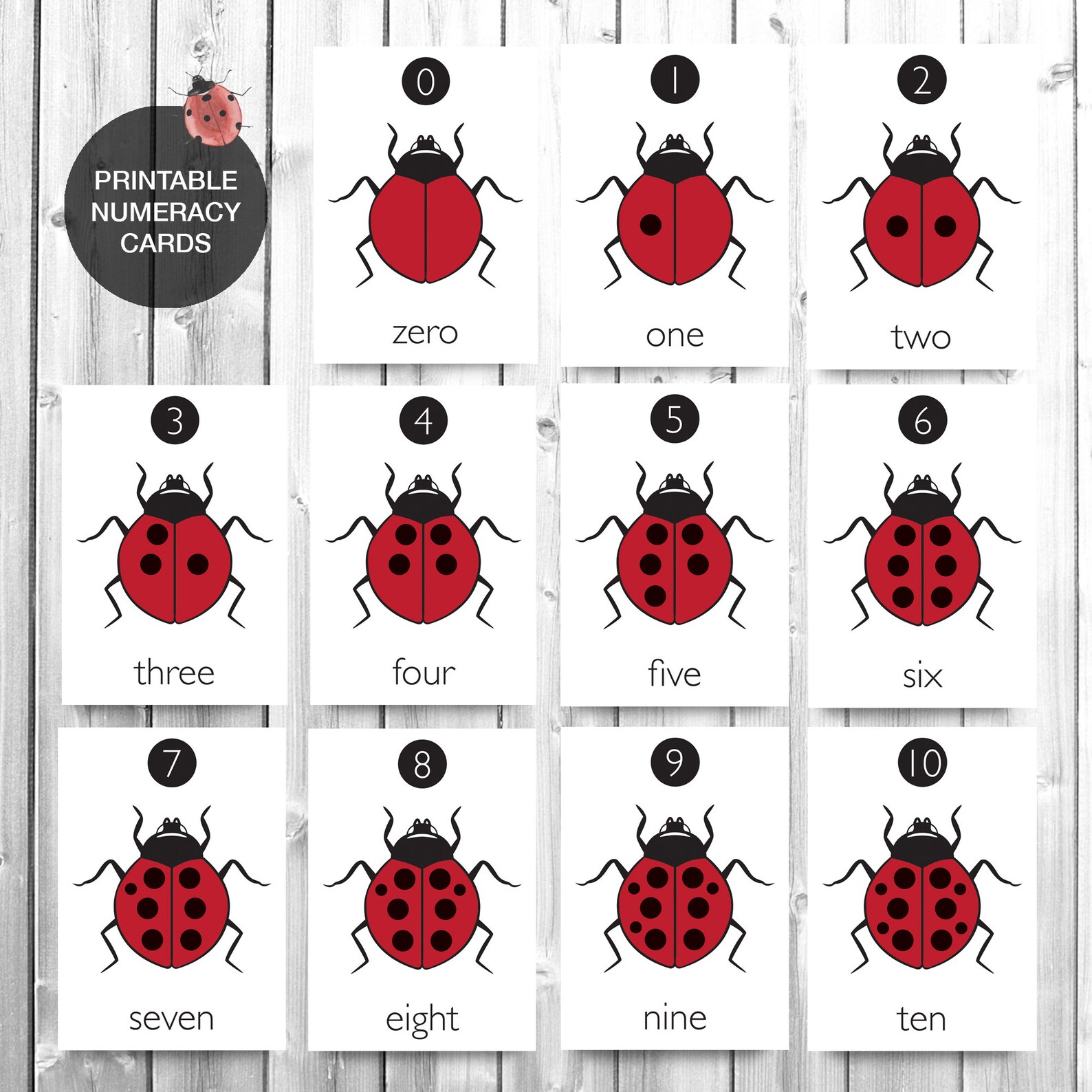 Number Flashcards Numeracy EYFS Maths Counting Flash Cards Number Cards ...