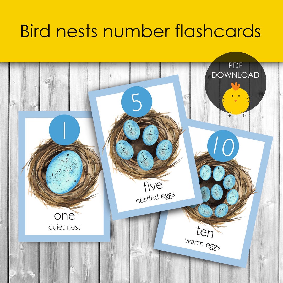 Bird Nest and Eggs Number Flashcards 1-10 for Preschool Number ...