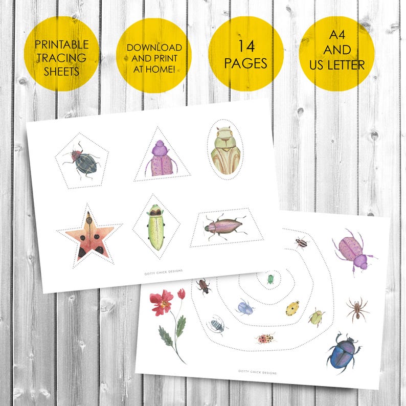 Mini Beast Line Tracing Worksheets | Learn to Write | Nature Activity ...