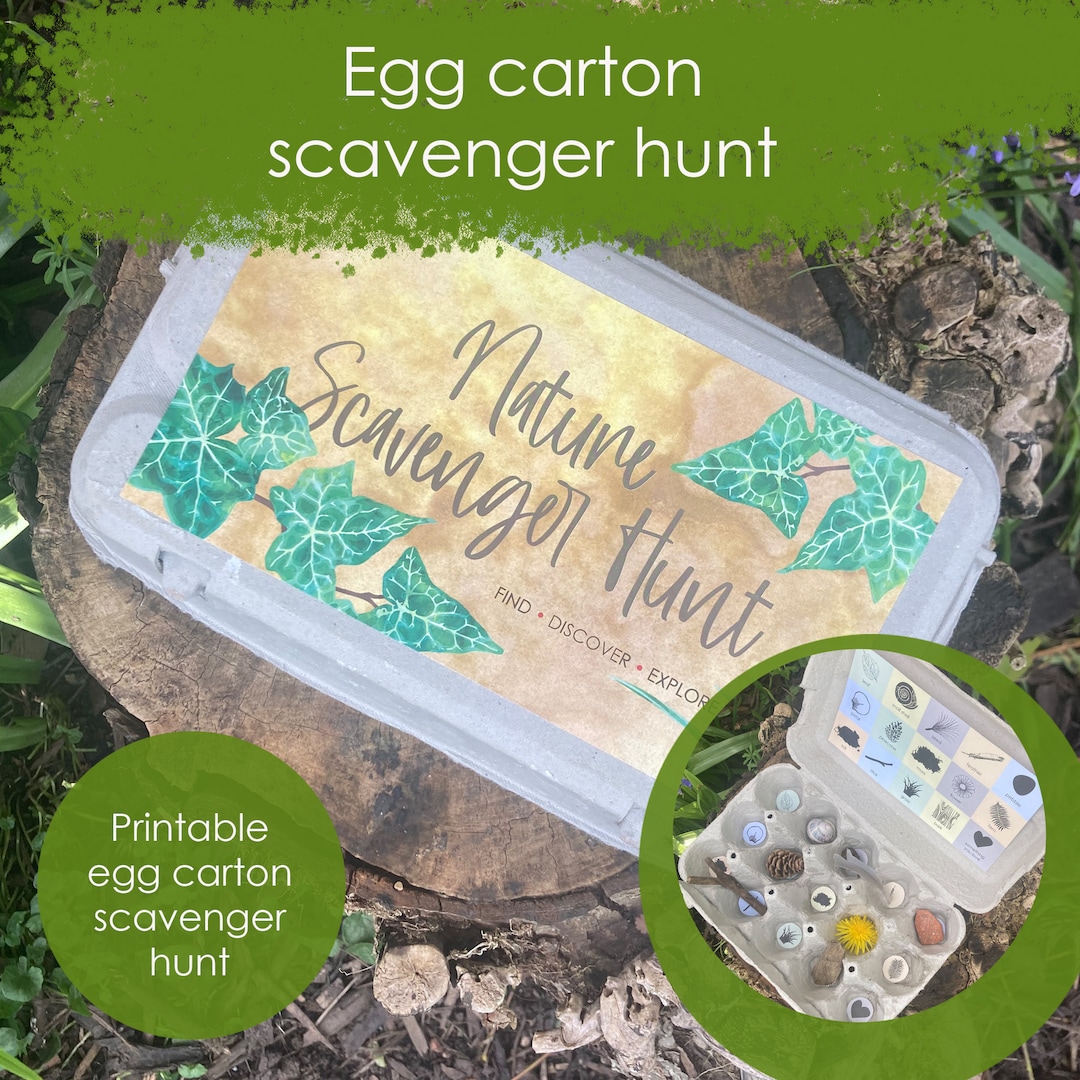 Egg Carton Scavenger Hunt Nature Trail Forest School Outdoor Toy ...