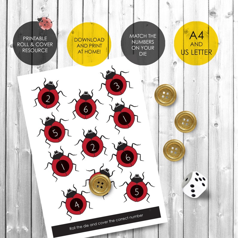 Roll and Cover Game Number Flash Cards Counting Flash Cards Number ...