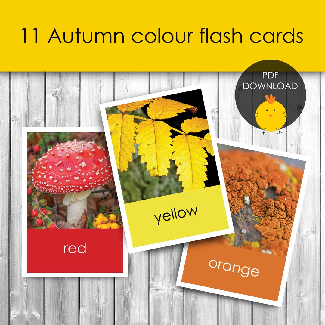 Autumn Flashcards Early Years Flashcards for Kids Colours Nature ...