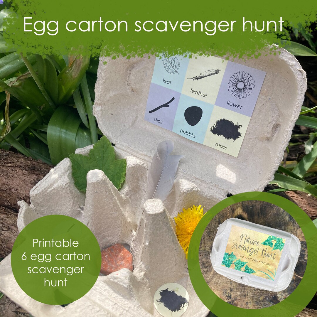 Egg Carton Scavenger Hunt Outdoor Activities for Kids Outdoor Toy ...