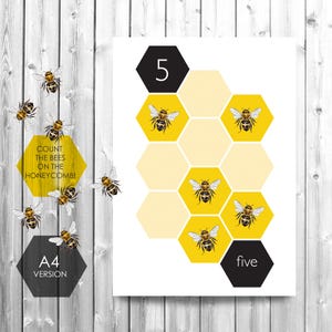 Bee Number Flash Cards for Preschool Maths Activity and Classroom ...