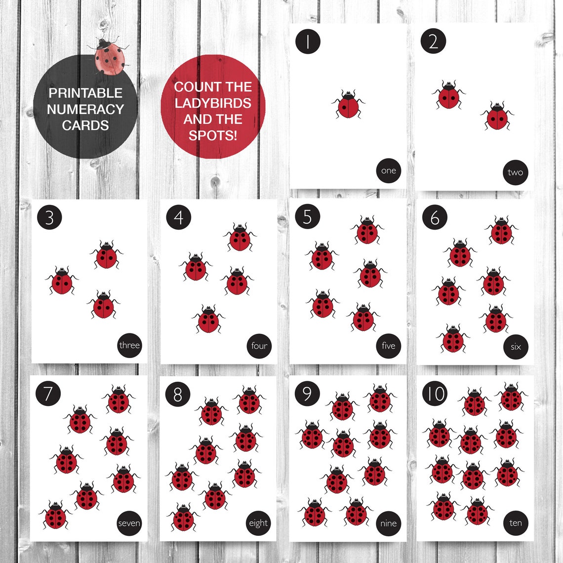 Ladybird Number Flash Cards | Kindergarten Numeracy | Early Years Maths ...