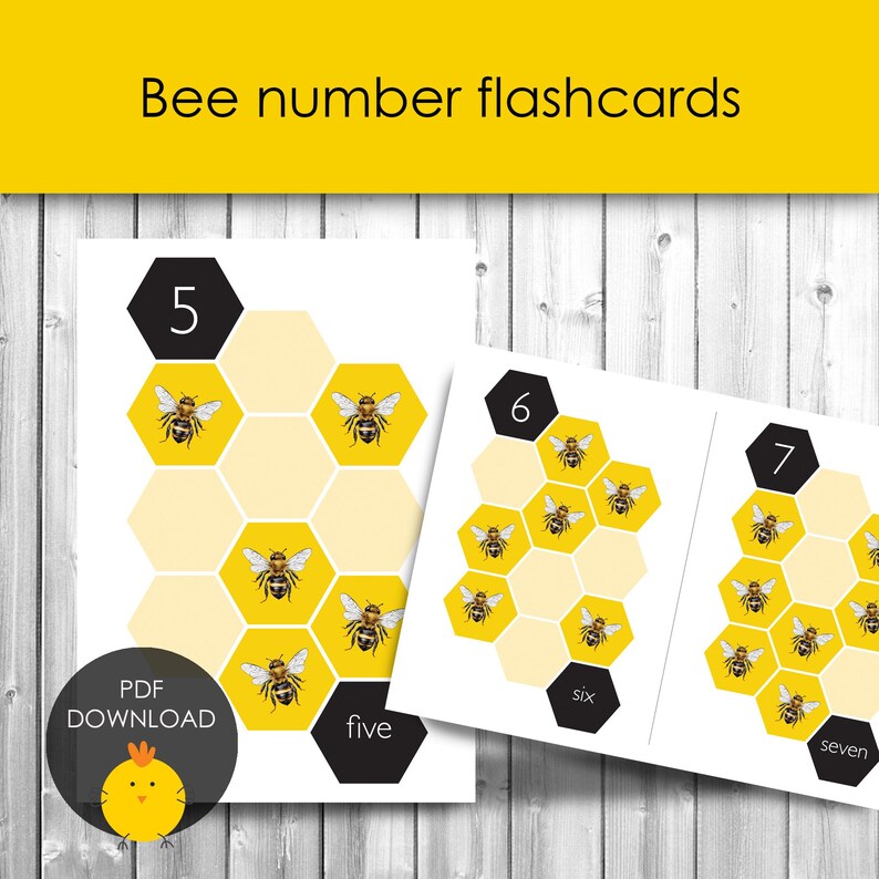 Bee Number Flash Cards for Preschool Maths Activity and Classroom ...