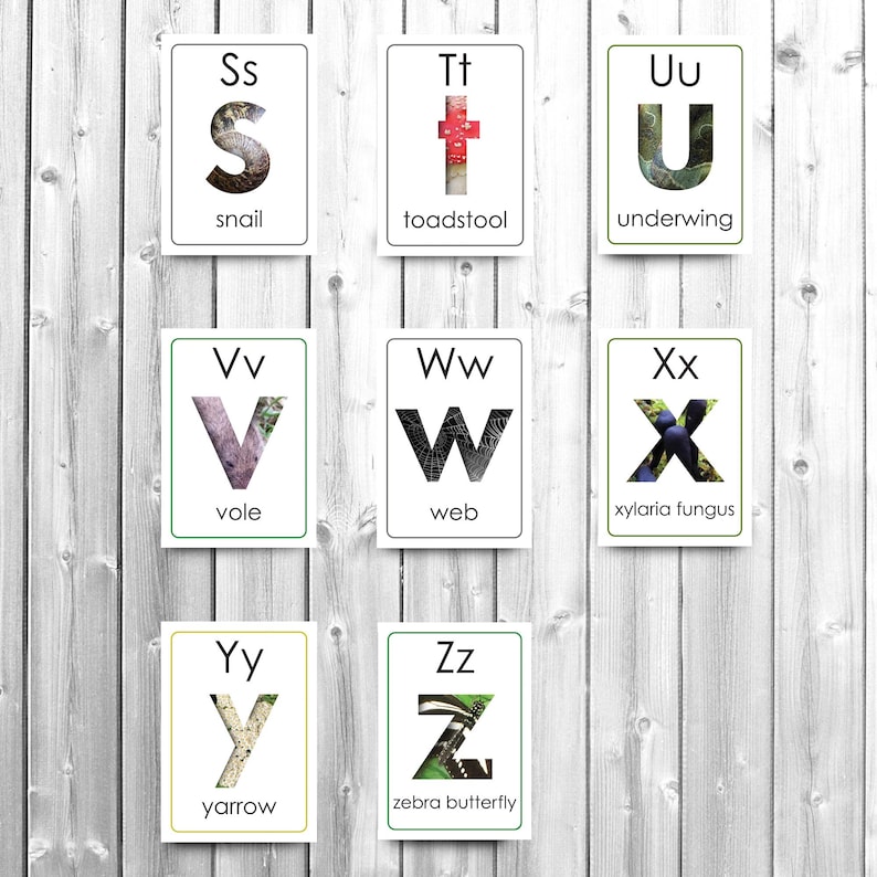 Nature Alphabet Lowercase Abc Flashcards and Poster for Preschool ...