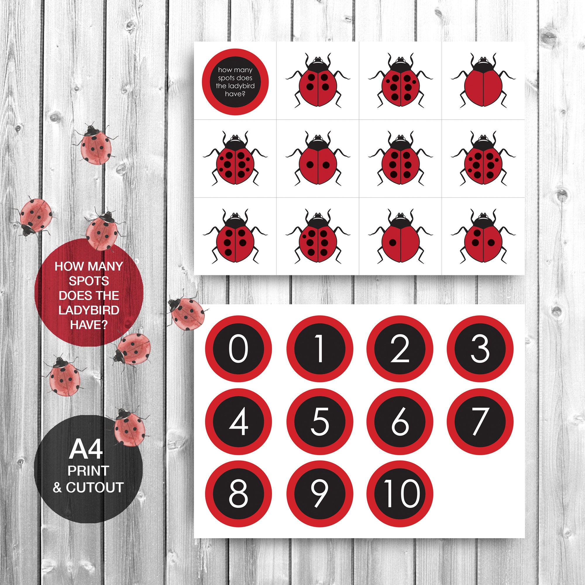 Ladybird Count and Cover Game: Early Years Maths (PDF Pattern) - Etsy