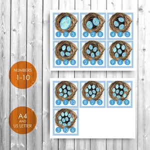 Bird Nests Count and Clip Number Flash Cards for Subitising and Fine ...
