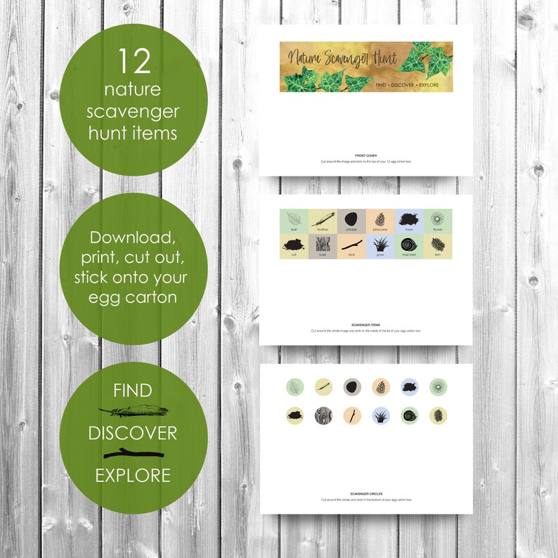 12 Egg Carton Scavenger Hunt Outdoor Activity for Kids - Etsy