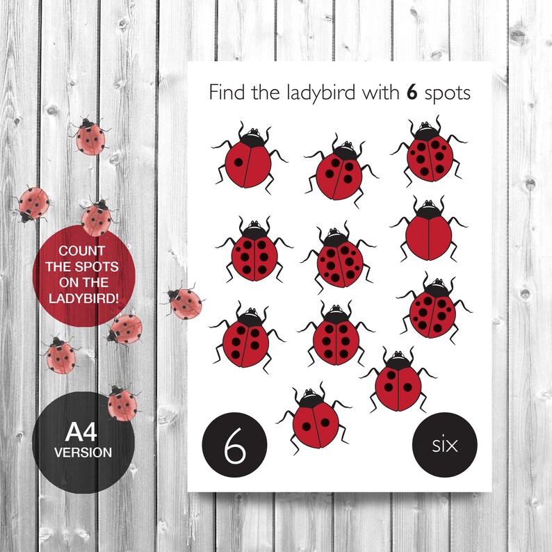Ladybird Flash Cards Numeracy EYFS Maths Counting Flash Cards Number ...