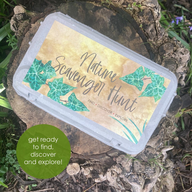 Egg Carton Scavenger Hunt Bundle for Outdoor Nature Activities for Kids ...