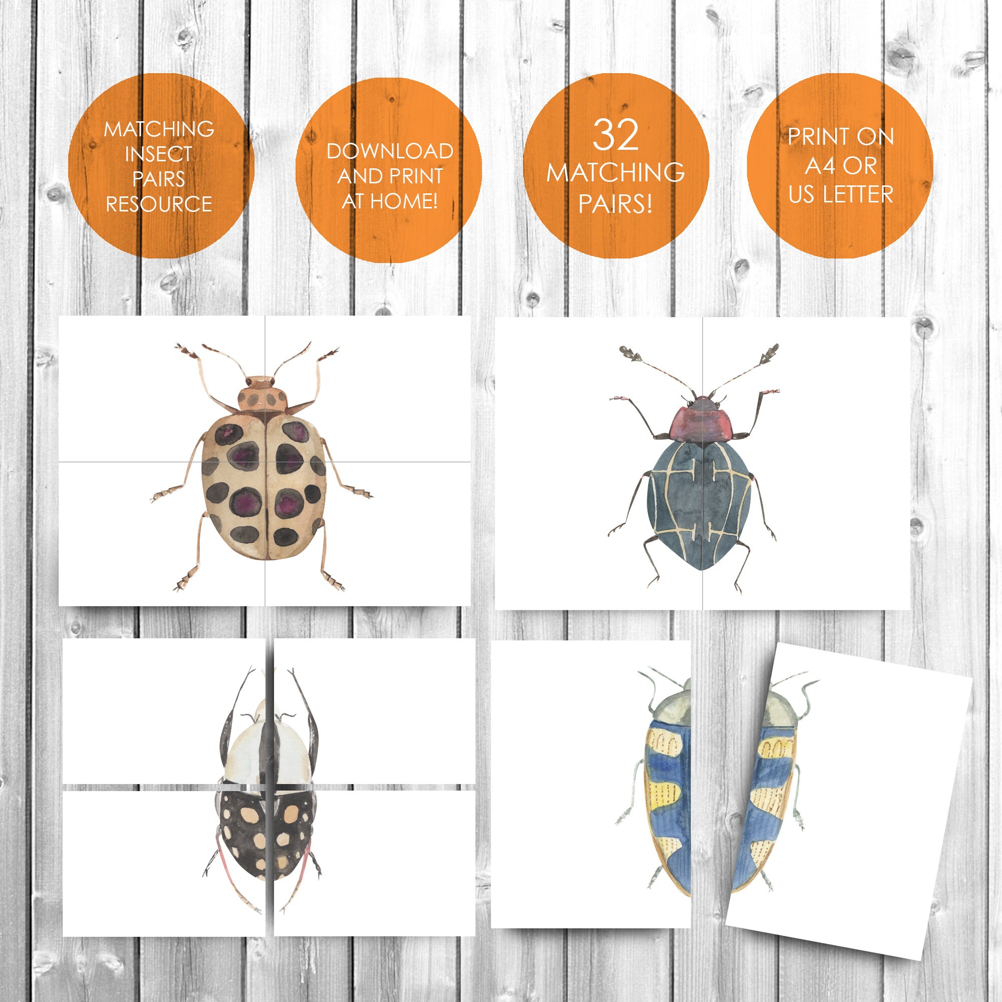 Insect Matching Puzzle Game Nature Matching Activity for Kids Nature ...