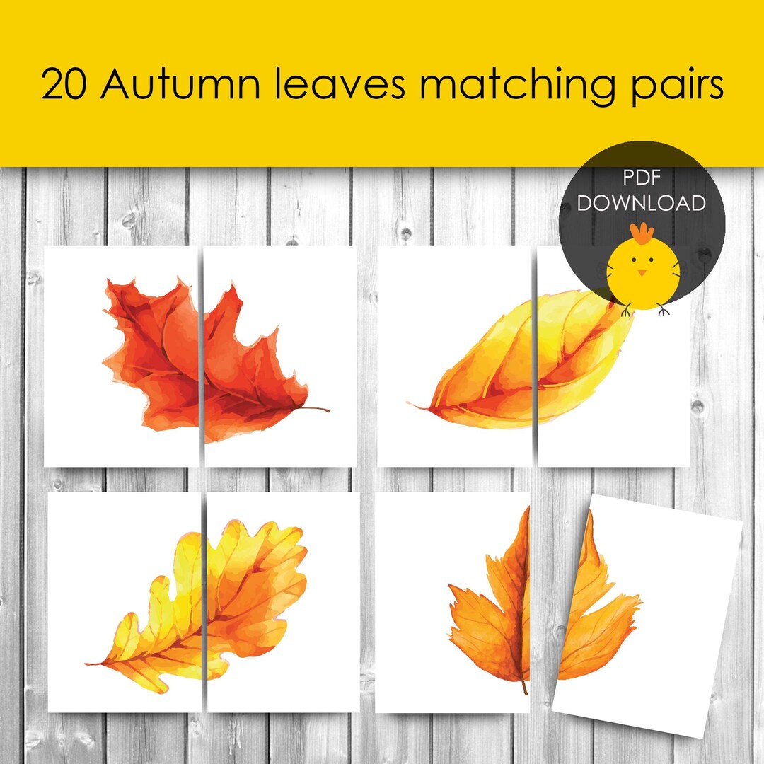 Autumn Leaves Symmetry Matching Pairs Game for Preschool Nature ...