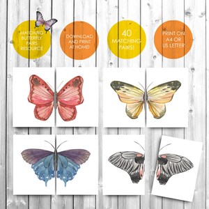 Butterfly Symmetry Matching Game | Nature Matching Activity for Kids ...