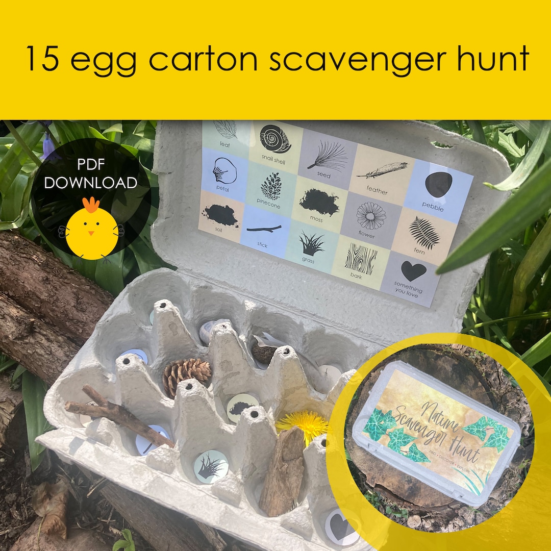 15 Egg Carton Scavenger Hunt Outdoor Nature Activity for Kids - Etsy