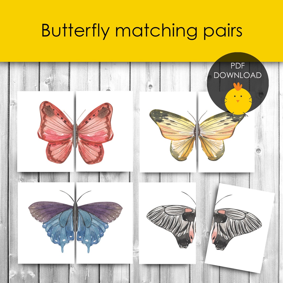 Butterfly Symmetry Matching Game | Nature Matching Activity for Kids ...